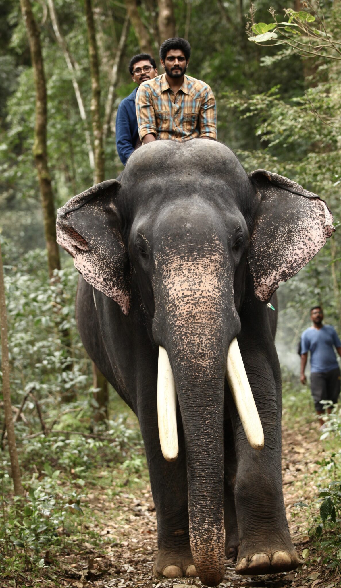 கும்கி 2- திரைவிமர்சனம் - Tamil Info Booth